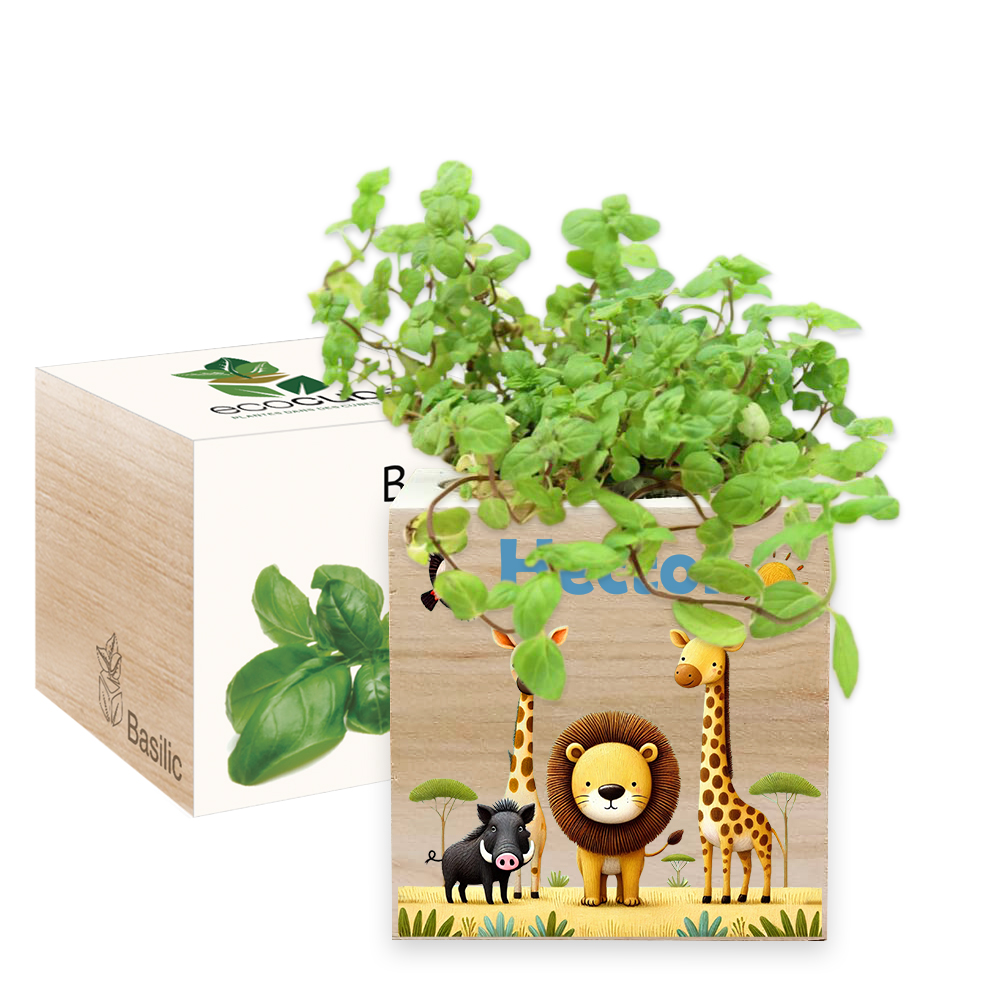 Bedruckter Ecocube Safari | Pflanzen mit Personalisierung